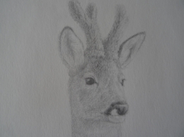 Renso Tamse, Zwanen met kuikens